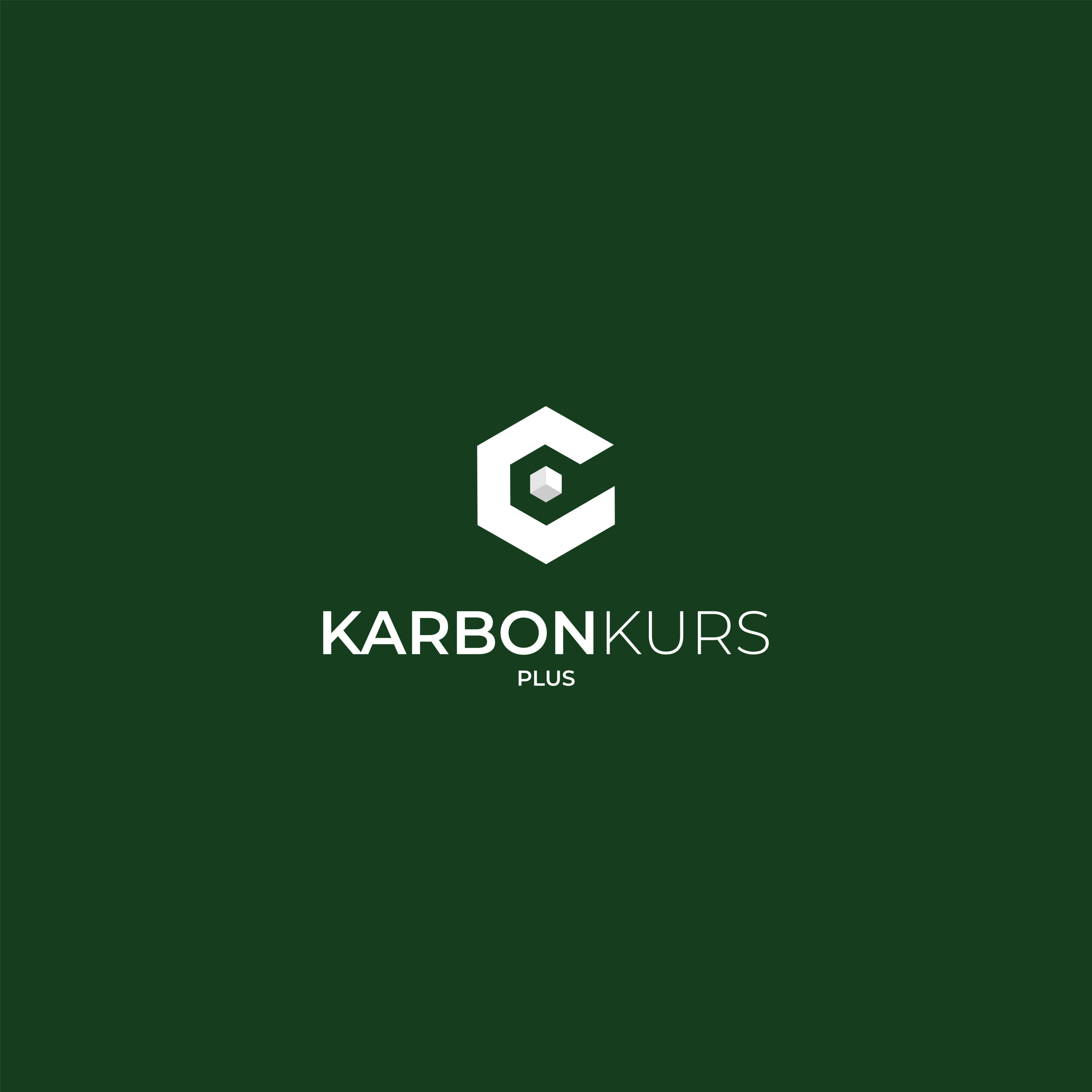 LGS PLUS PAKET – Karbon Kurs